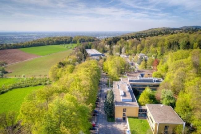 MPI-K - International Summer Science School Heidelberg